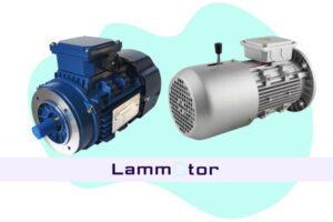Difference Between Synchronous Motor And Induction Motor