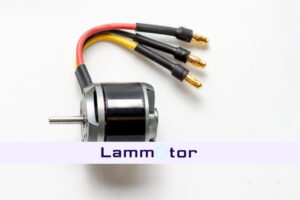 All About Micro Motors: What You Need to Know | Lammotor