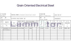 Grain Oriented vs. Non-Grain Oriented Electrical Steel | Lammotor